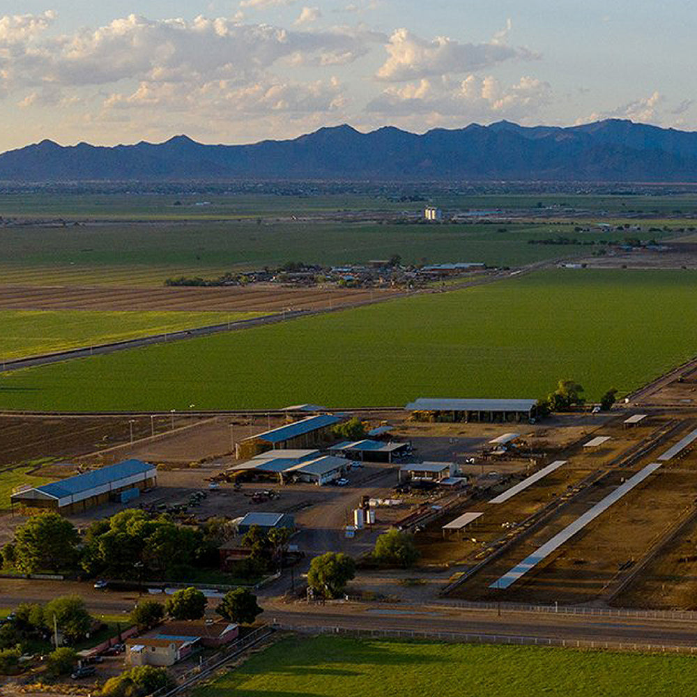 About Us - Bales Hay Sales/1891 Homestead