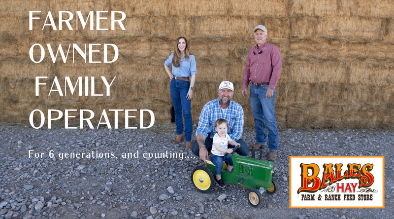 Bales Hay Sales - Arizona Farmers and Ranchers for over 100 years