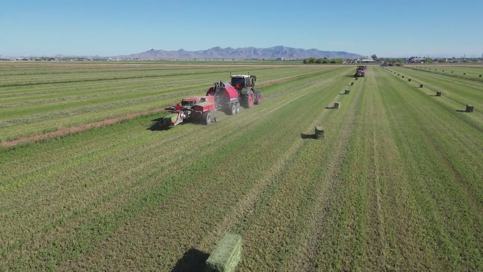 Bales Hay Sales - Arizona Farmers and Ranchers for over 100 years ...